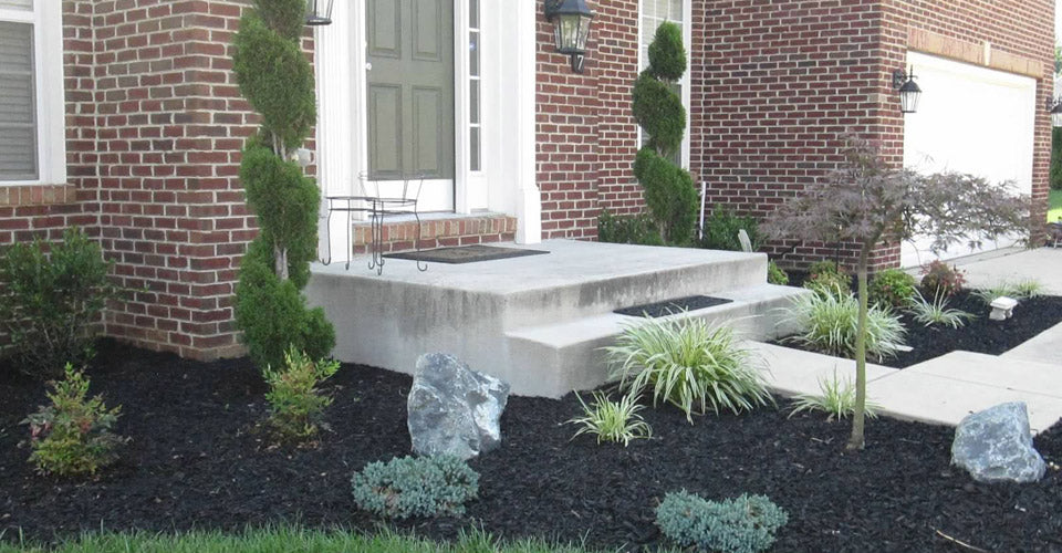 Landscaping – Eds Plant World